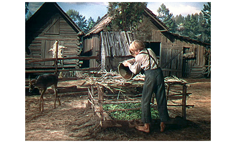 The Yearling